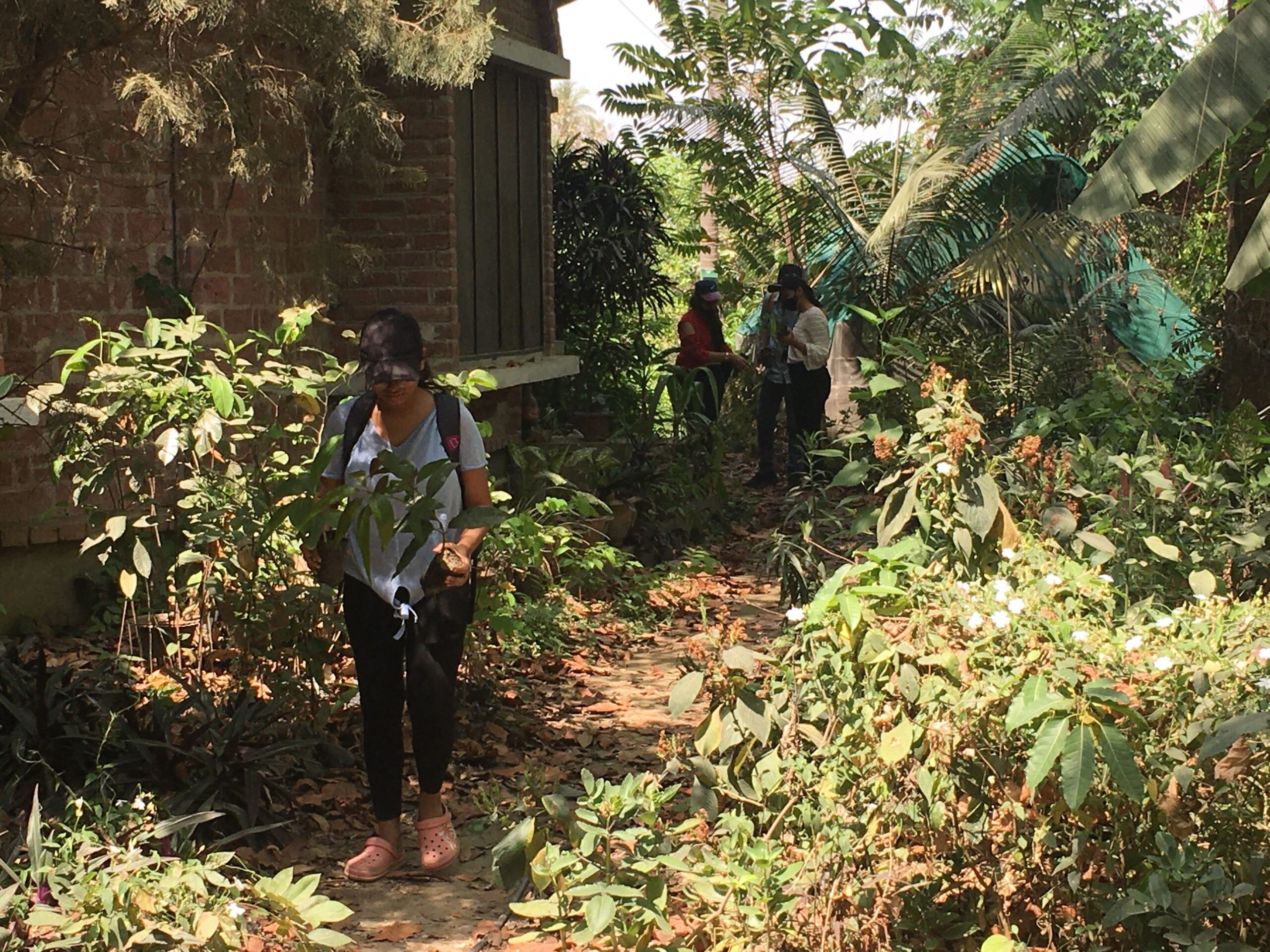 Plantation for Life – Tarumitra Ashram