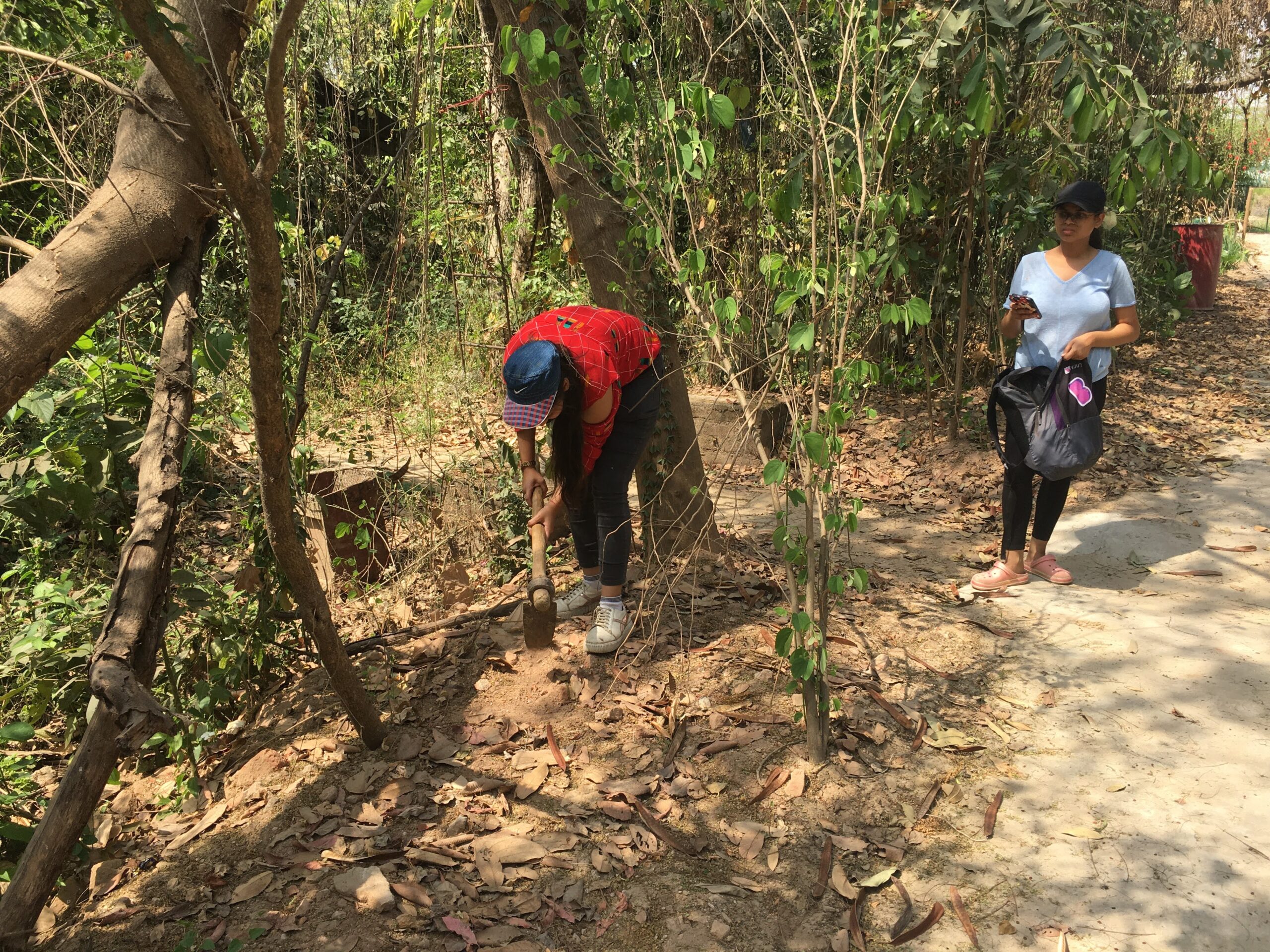 Plantation for Life – Tarumitra Ashram