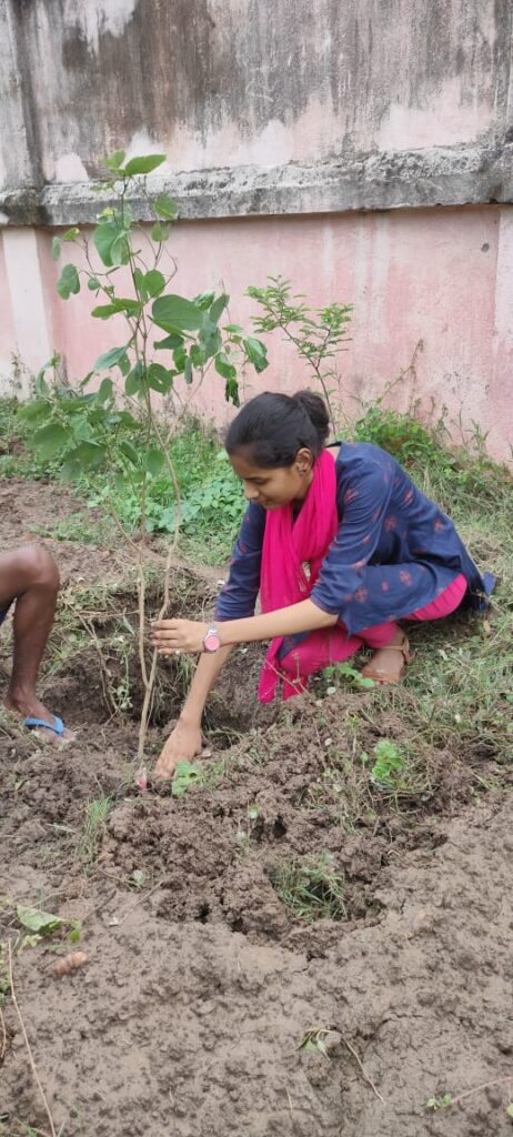 From Pages to Plants: Join Sinha Library’s Journey Towards a Greener ...