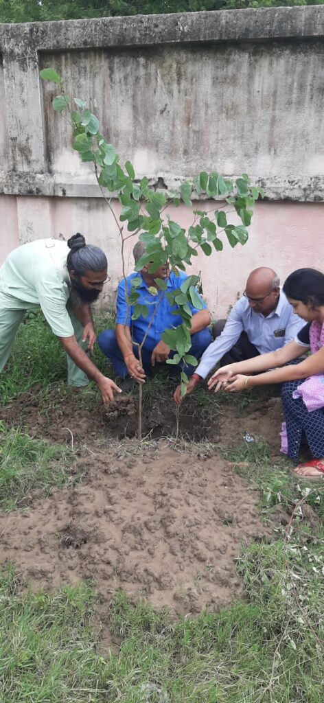 From Pages to Plants: Join Sinha Library’s Journey Towards a Greener ...
