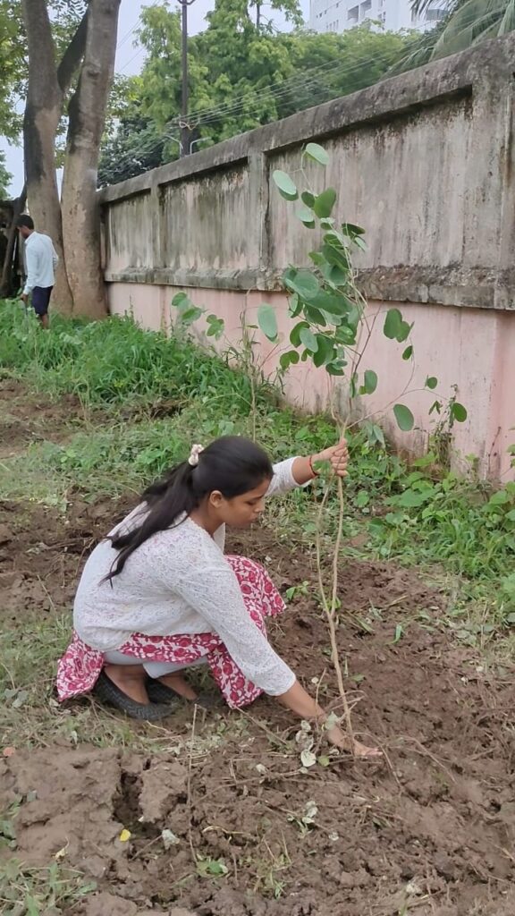 From Pages to Plants: Join Sinha Library’s Journey Towards a Greener ...