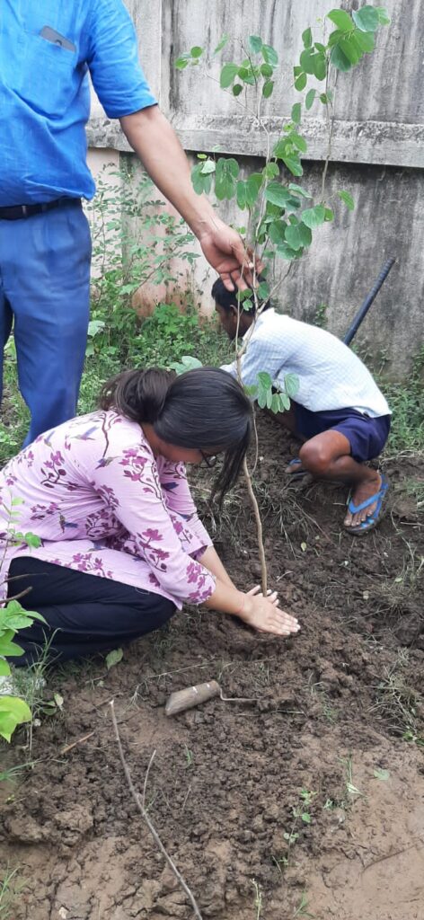 From Pages to Plants: Join Sinha Library’s Journey Towards a Greener ...